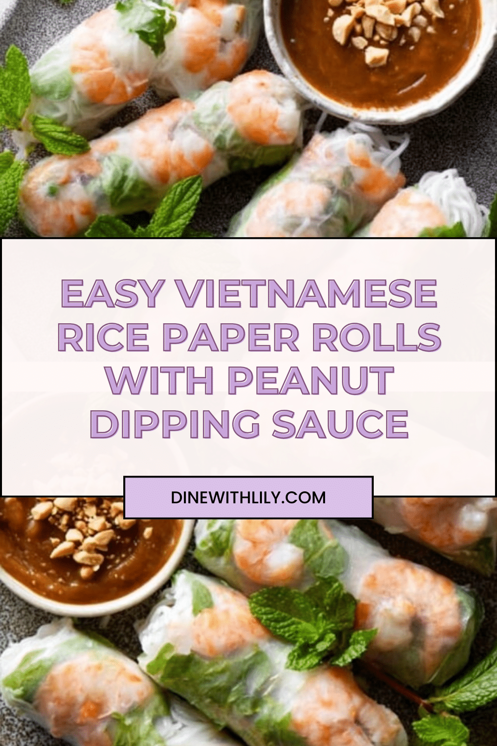 Vietnamese Rice Paper Rolls: Fresh and Flavorful Delight